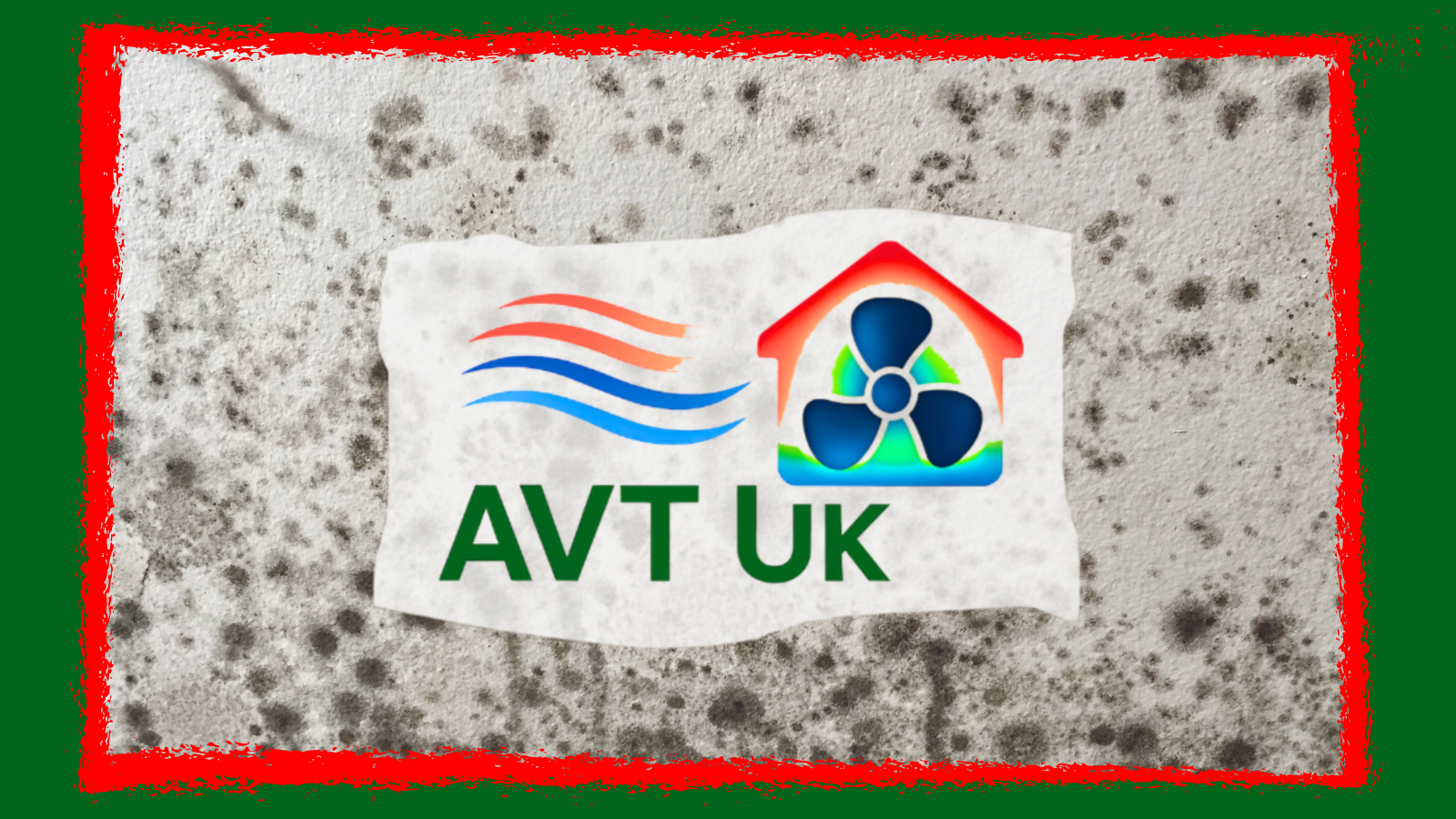 Why Is There Mould Around My Windows? - AVT UK