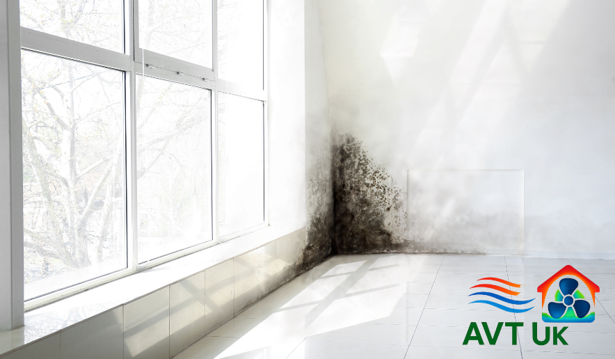Why Is There Mould Around My Windows? - AVT UK